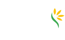 Meet the Directors | Lynch Group Australia
